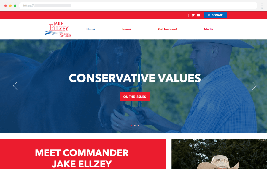 Political Websites