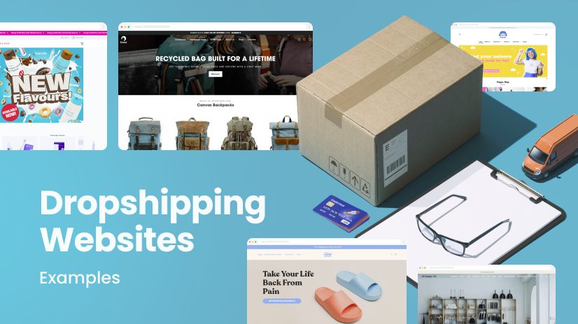 24 Successful Dropshipping Website Examples To Inspire You