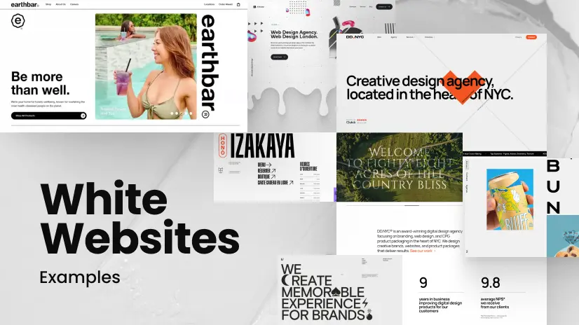 22 Best White Website Examples We Love